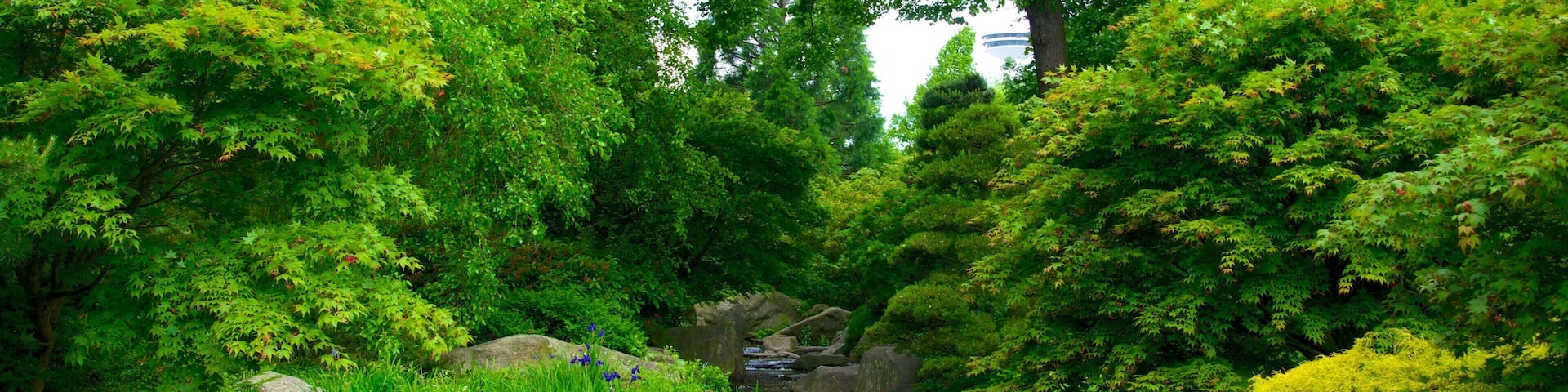 Sternschanze featuring a park and a river or creek