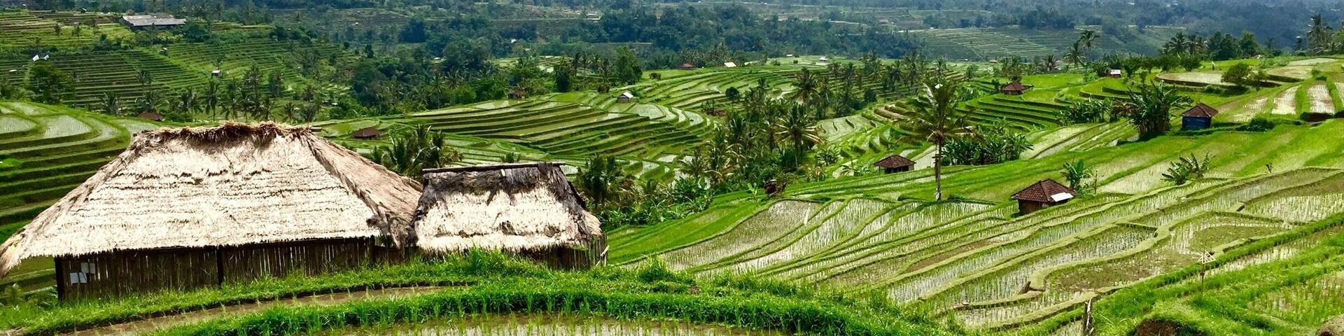 Very picturesque, very quiet and reasonably accessible if one has a car. Most tours to Bali do not visit this part of Bali though so you can actually have this area all to yourself!