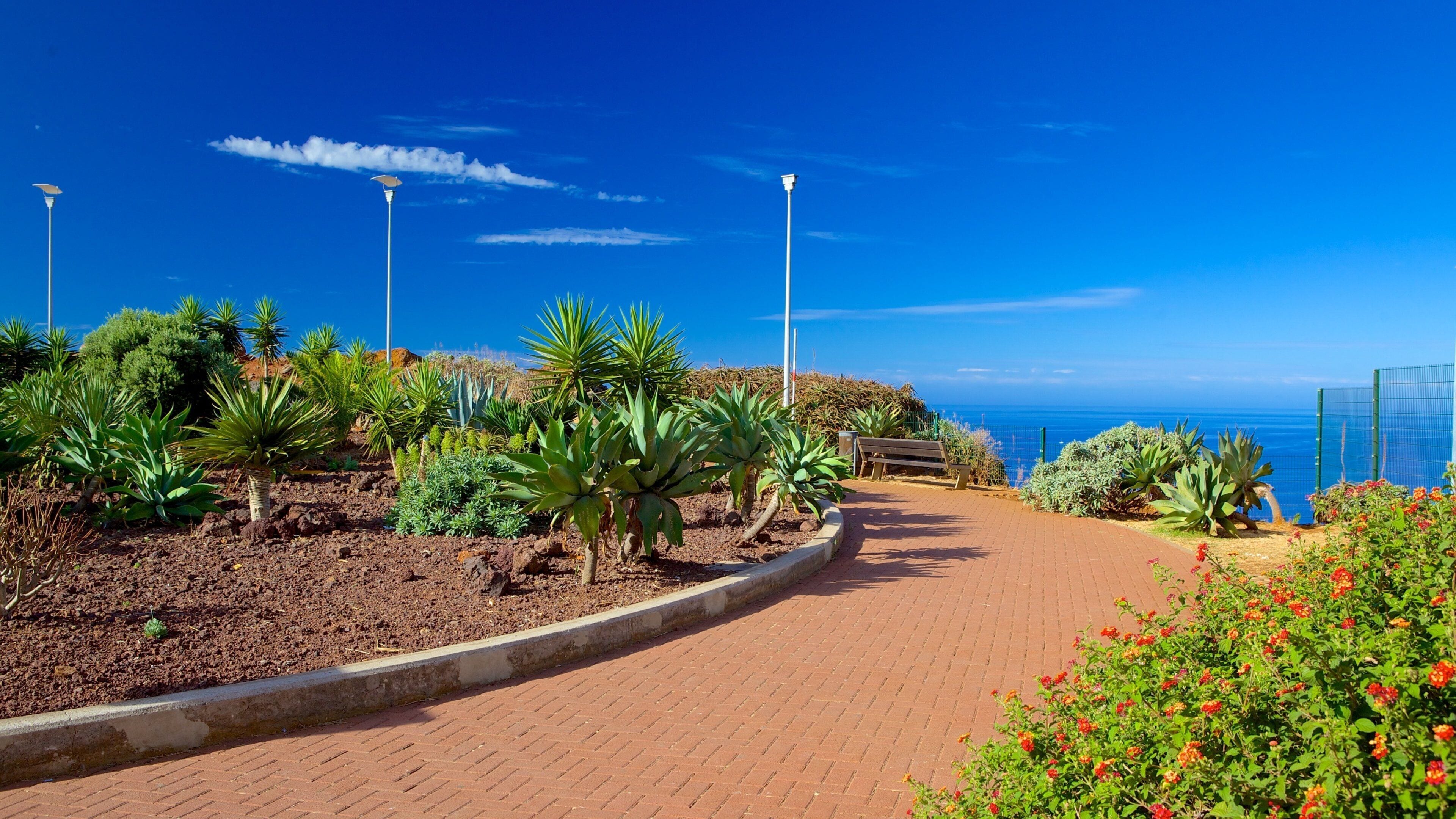 Uma passarela costeira com caminho pavimentado, rodeada por diversas plantas e vista para o oceano.