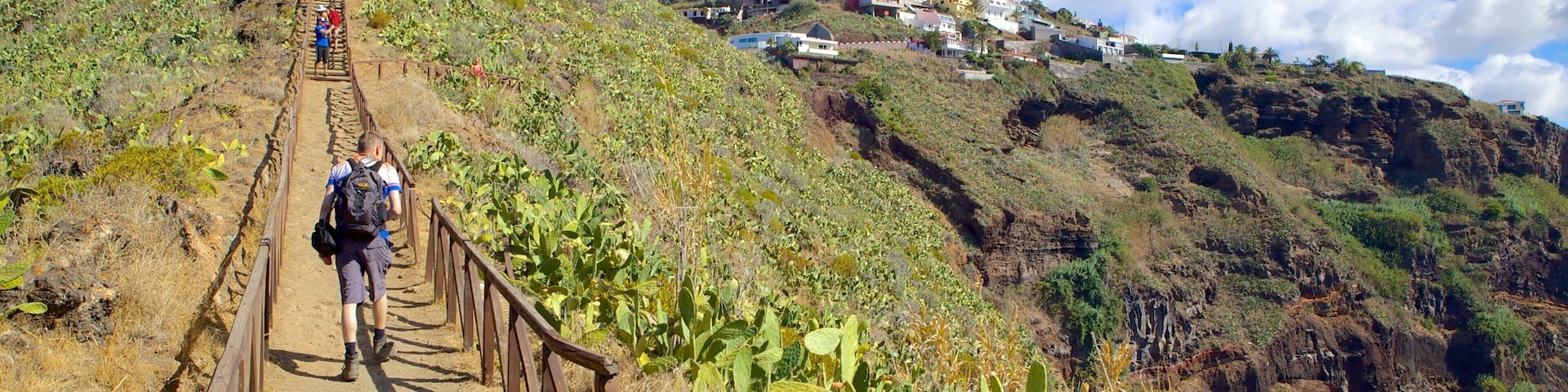 Ponta da Oliveira showing landscape views, hiking or walking and mountains