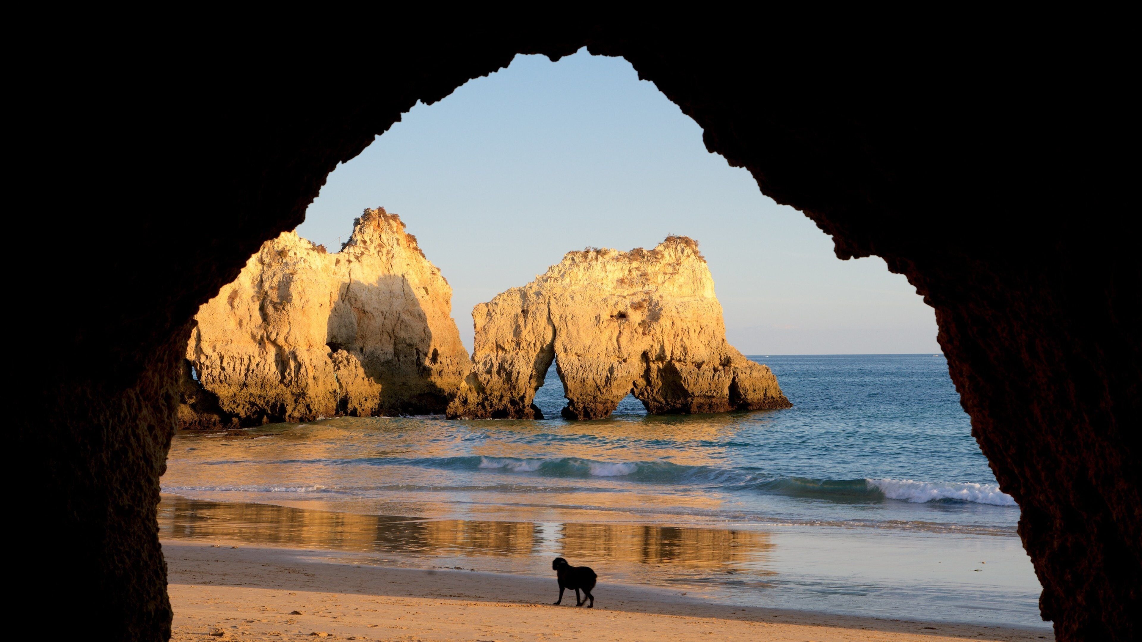 Um cão passeando numa praia com uma formação rochosa natural ao fundo.