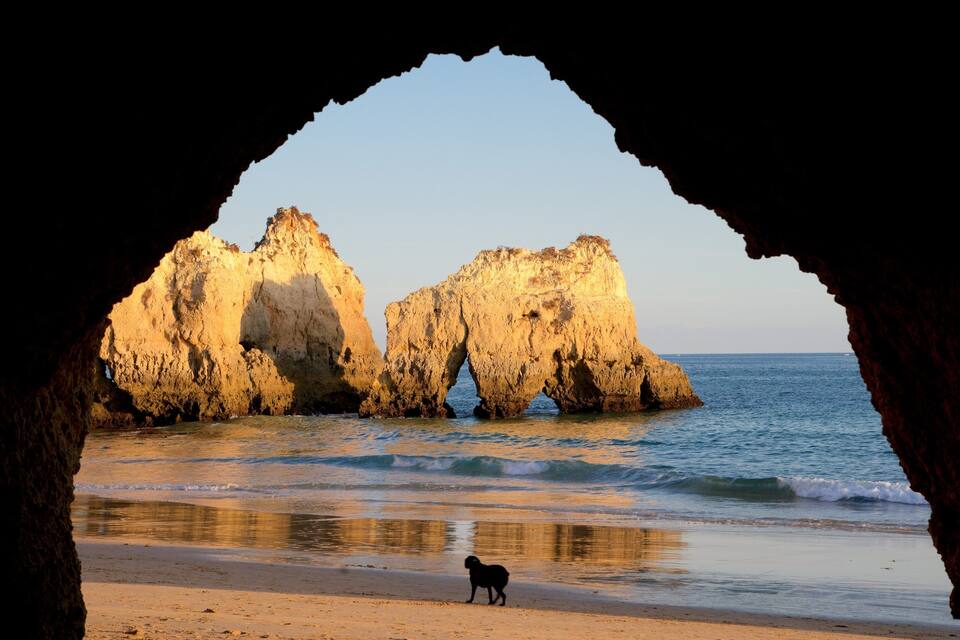Um cão passeando numa praia com uma formação rochosa natural ao fundo.