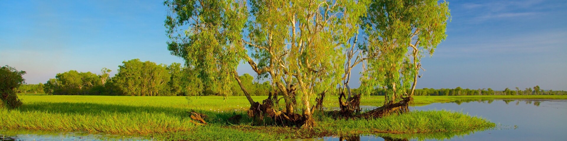 Yellow Water Billabong que inclui um lago ou charco