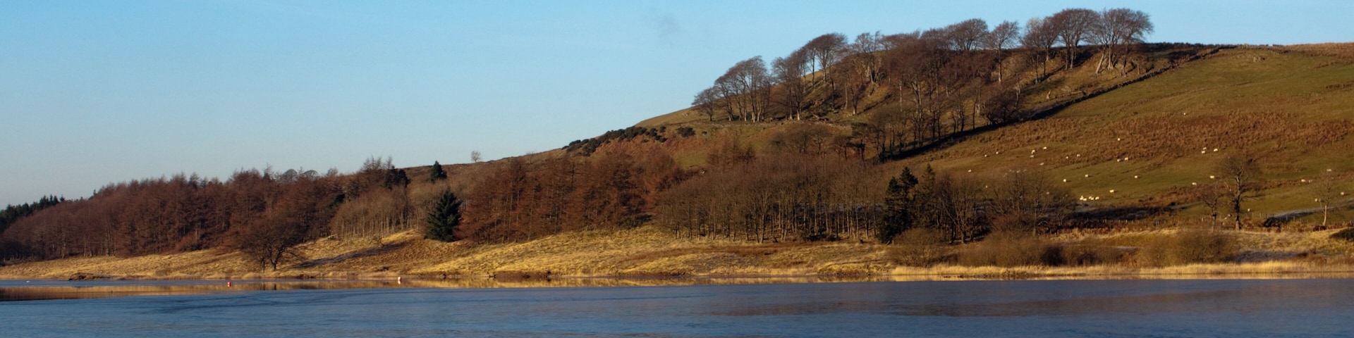 Frozen Carron Dam
