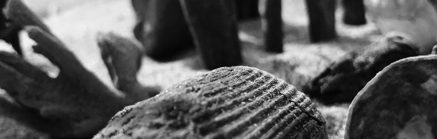 Old Wood and amazing sculptures on the sand...