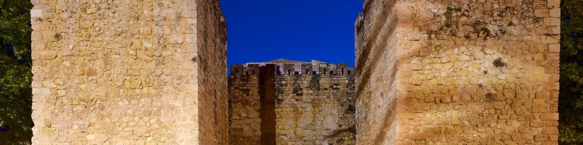 Arch of Sao Goncalo featuring chateau or palace, heritage elements and night scenes