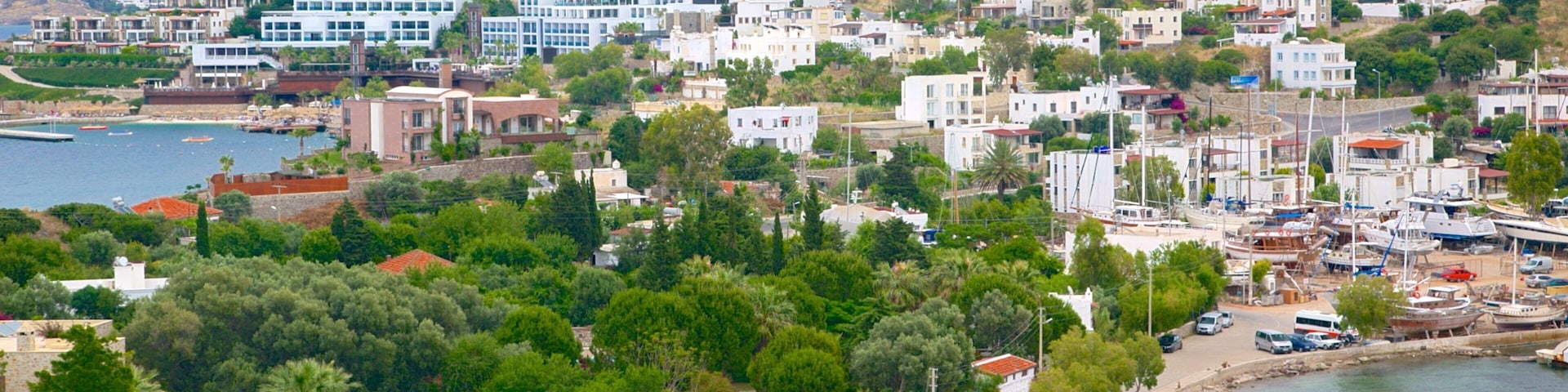 Yalikavak Beach featuring a coastal town