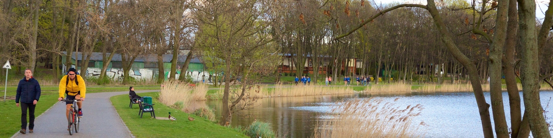 Malta Lake featuring a park and a lake or waterhole