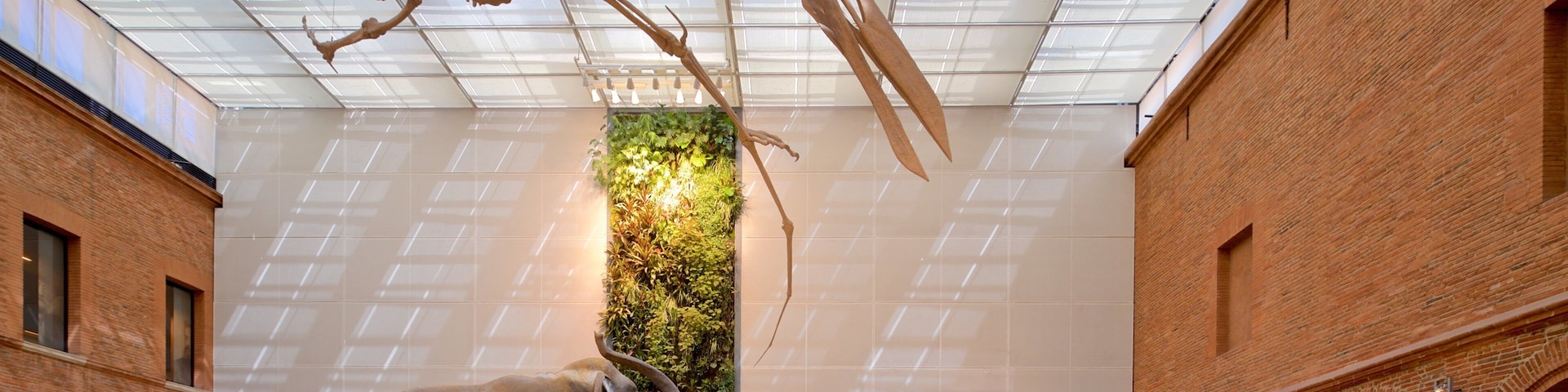 Museum of Toulouse featuring interior views