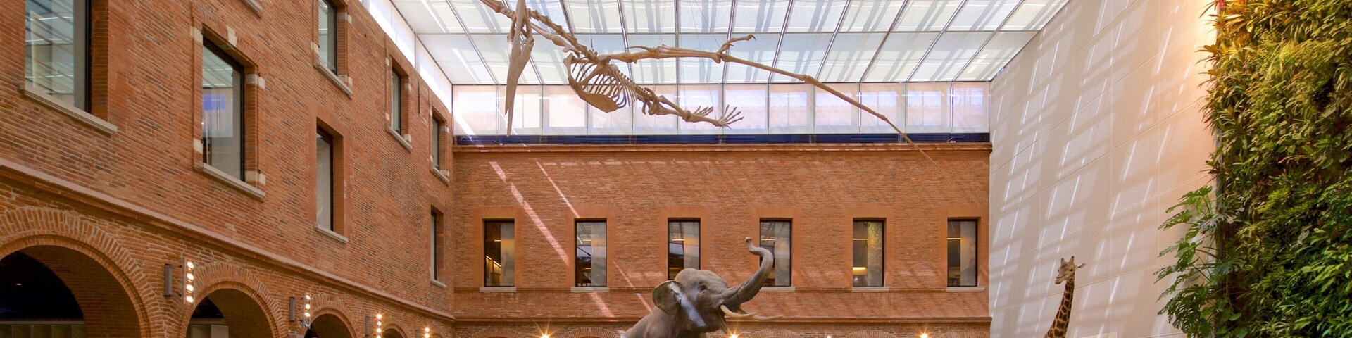 Museum of Toulouse featuring interior views