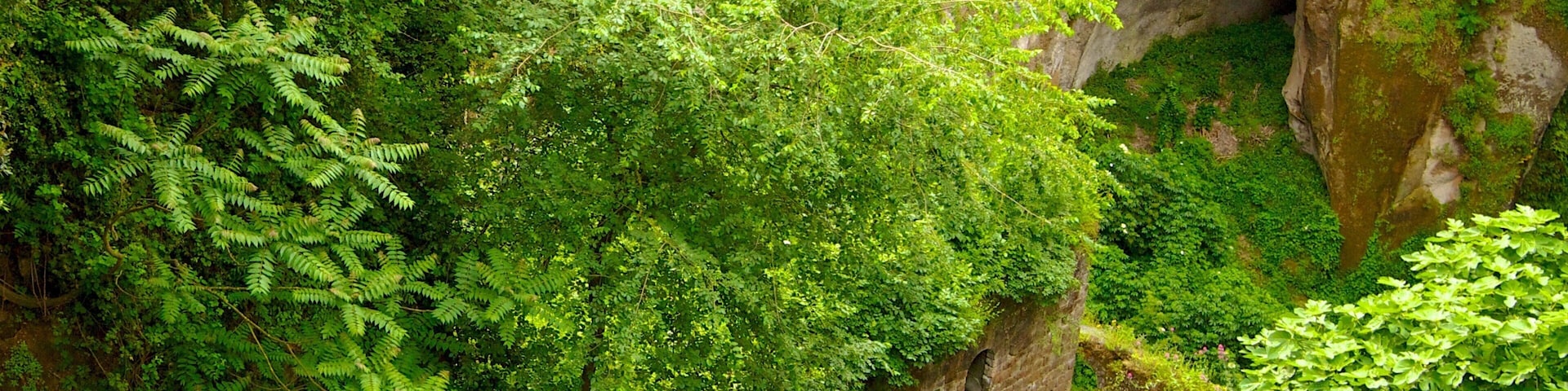 Deep Valley of the Mills showing tropical scenes, building ruins and heritage elements