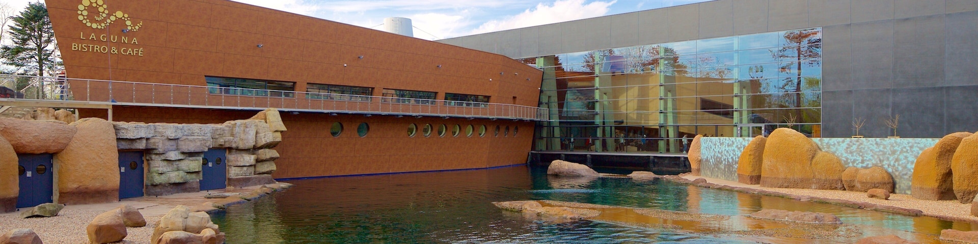 Um edifício moderno com um restaurante chamado "Laguna Bistro & Café" e um pequeno lago com pedras.