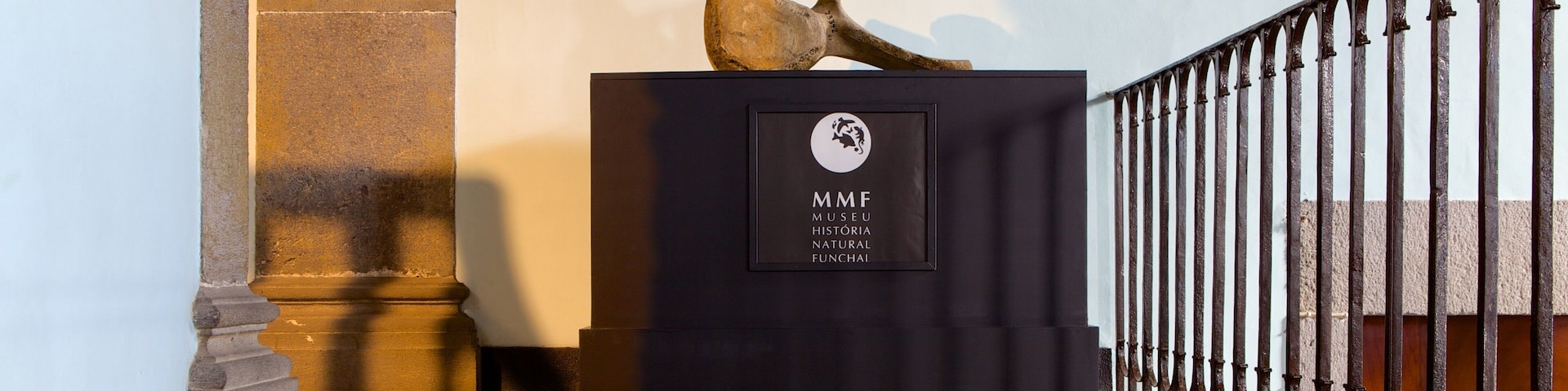 Uma exposição de museu com um esqueleto fóssil grande sobre um pedestal, uma placa com o nome do museu e uma escadaria com corrimão de ferro forjado.