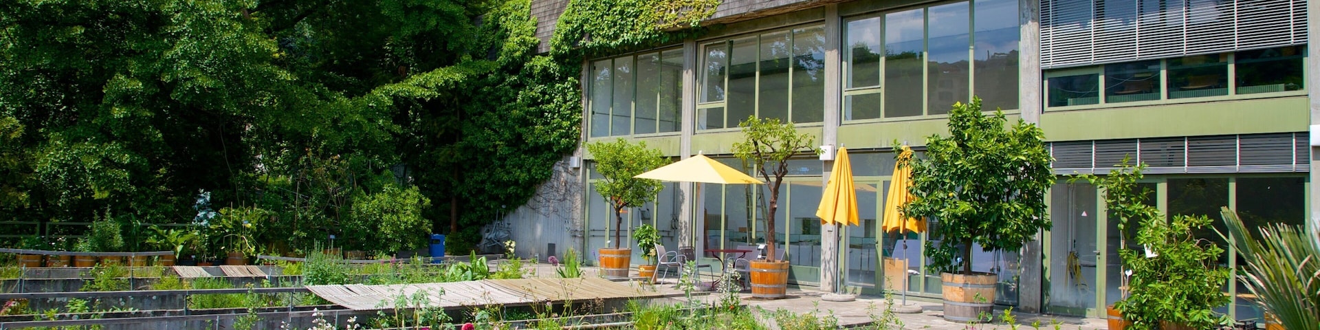 Botanical Garden showing a garden