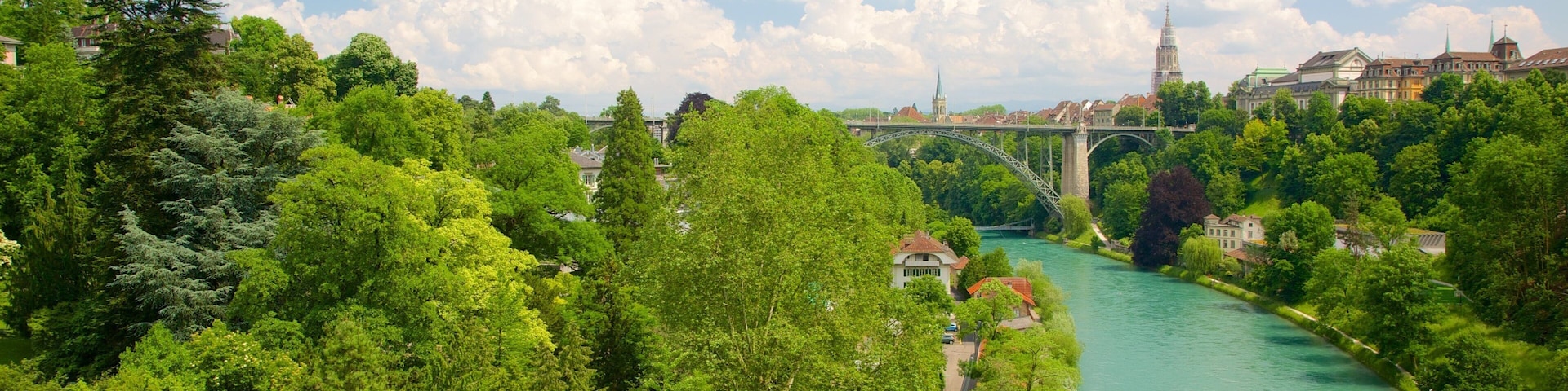 Botanical Garden showing a river or creek