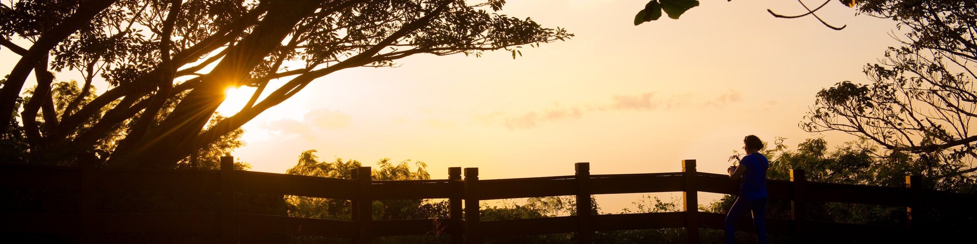 Pôr do sol sobre uma ponte de madeira com árvores de ambos os lados.