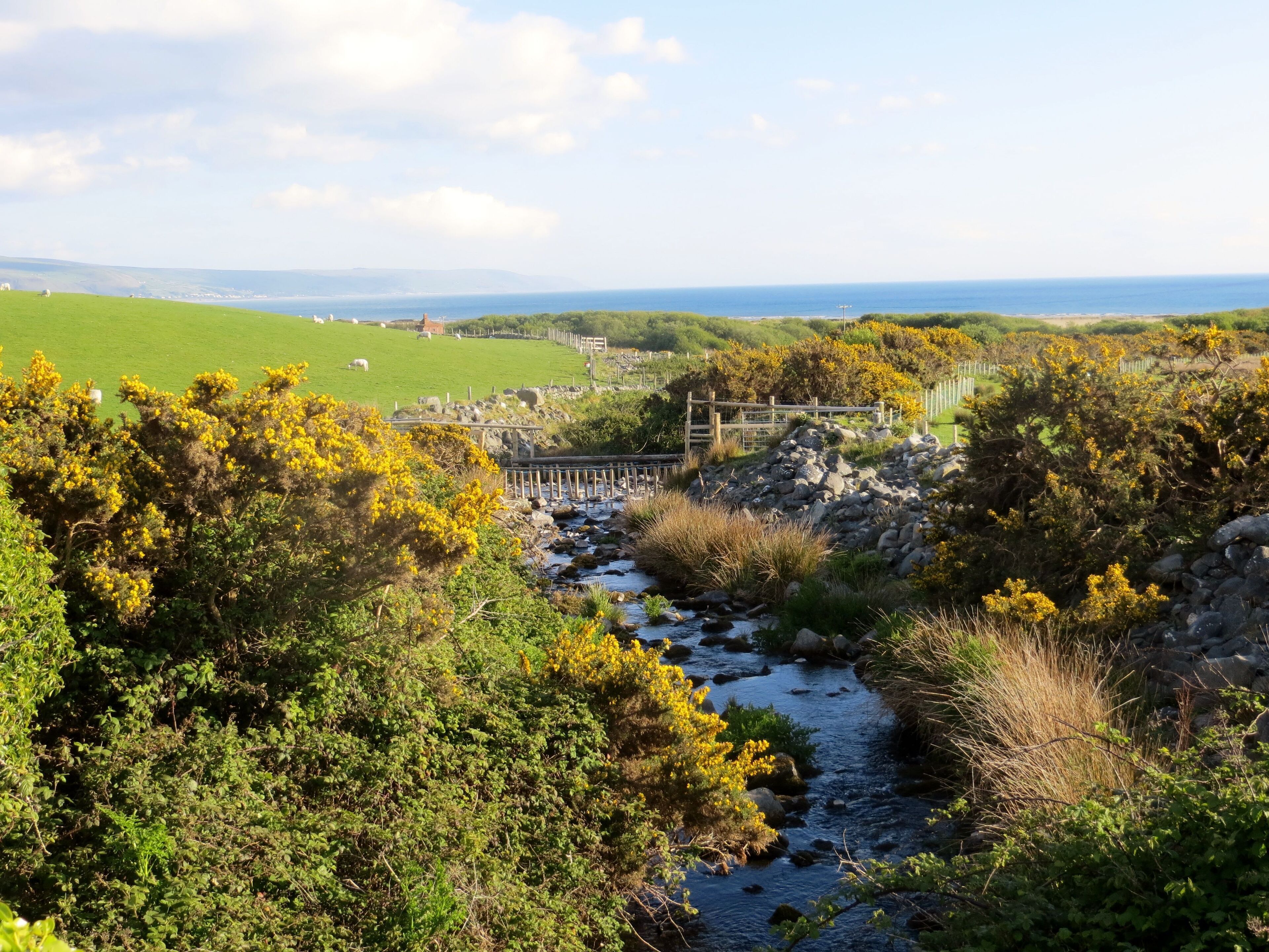 Egryn brook running to the beach - May 2013