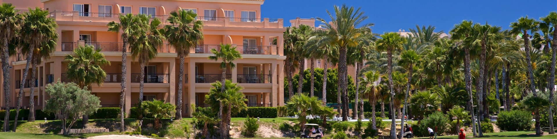 Alicante Golf Course showing a lake or waterhole and golf