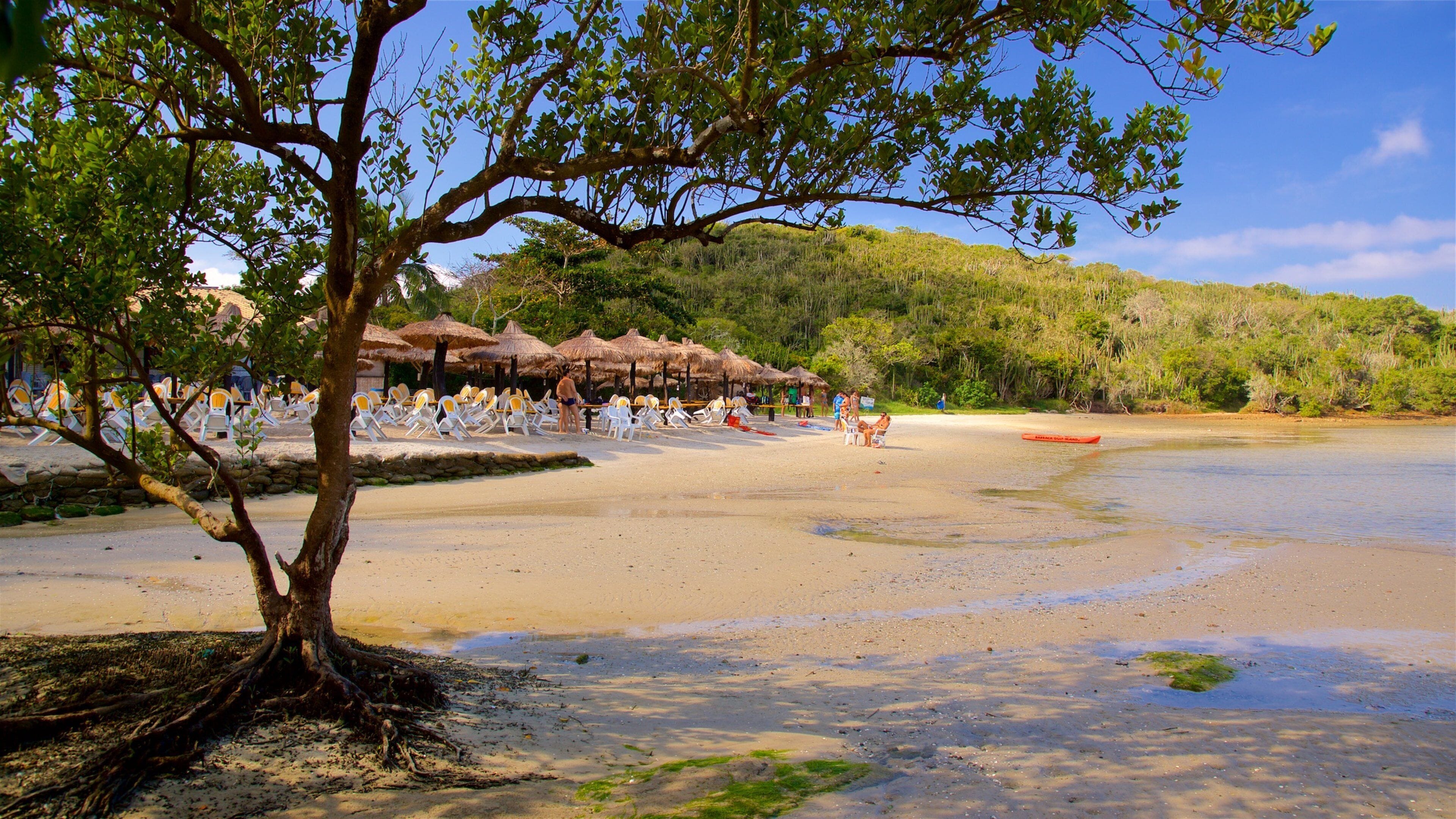 Uma praia com guarda-sóis de palha, espreguiçadeiras e um canoa.