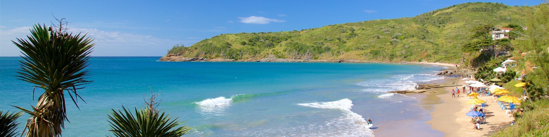 Praia Brava que inclui paisagens litorâneas e uma praia de areia