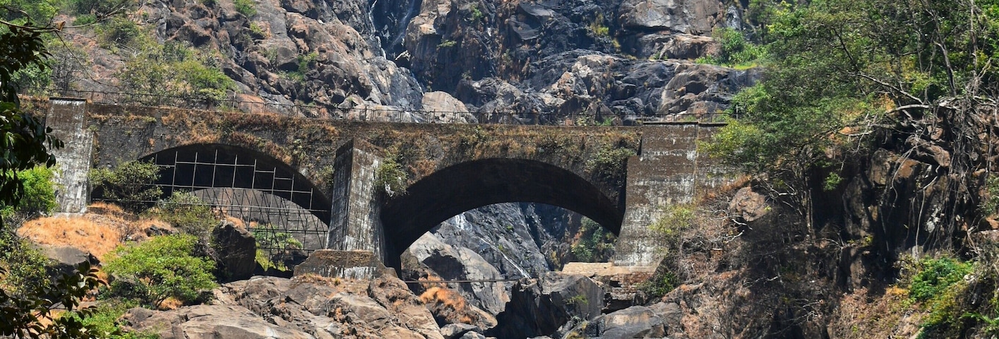 This majestic waterfall flows down from an impressive height of 1017ft and is a beauty to behold! Cascading down four tiers, it's culminates into a pool of cool milk-white water. If you go to South Goa, never miss out on this sight!