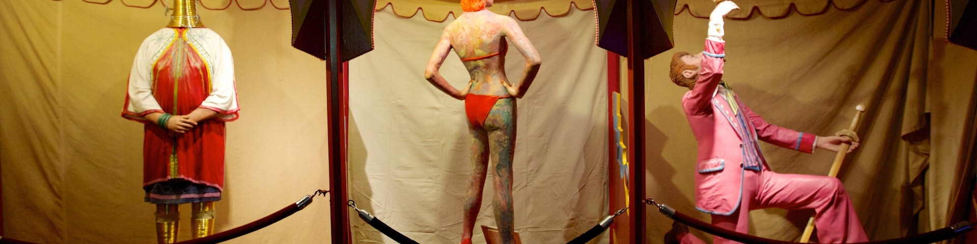 Guinness World Records Museum showing interior views