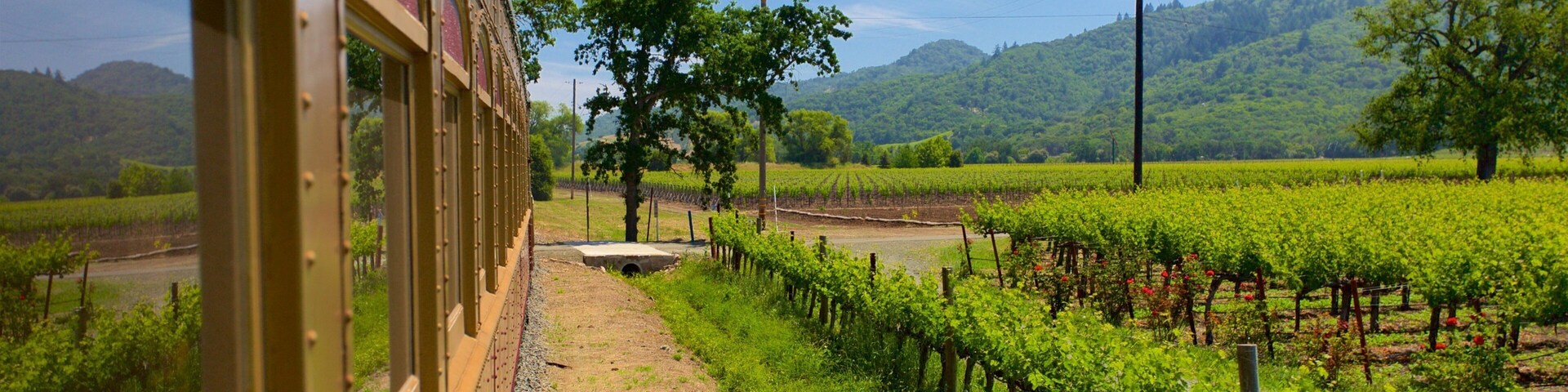 Napa Valley Wine Train showing tranquil scenes and farmland