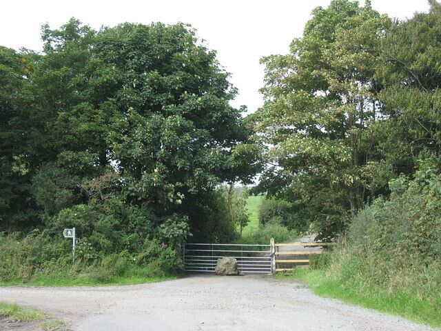 Uma estrada rural que leva a um portão cercado por árvores densas.