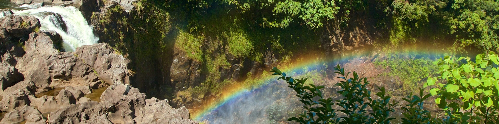 Rainbow Falls que inclui uma cachoeira e um jardim
