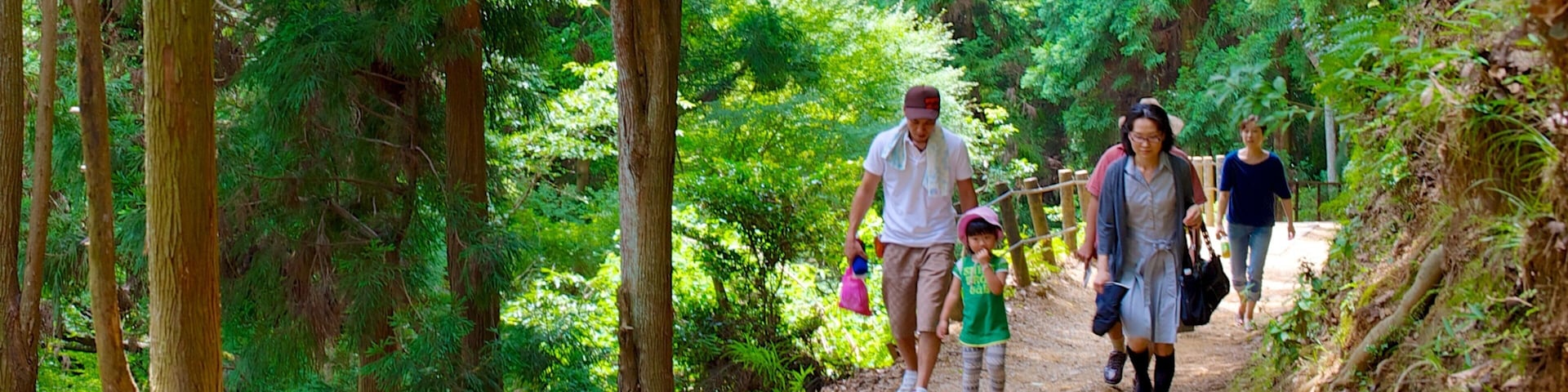 Parque do Macaco de Arashiyama mostrando escalada ou caminhada e florestas assim como uma família