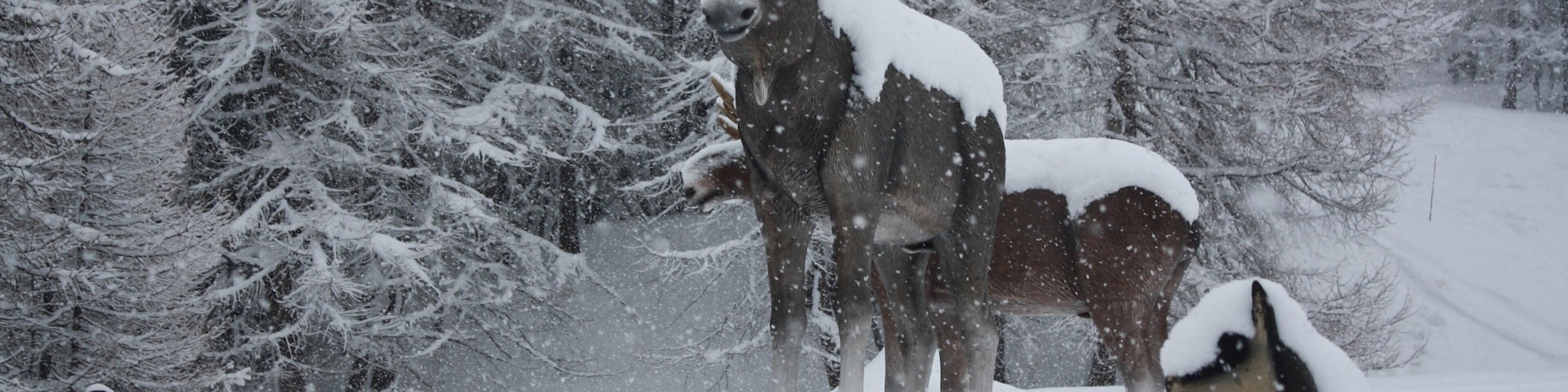 Bardonecchia Ski Resort que inclui uma estátua ou escultura e neve