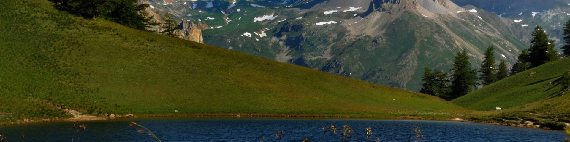 Um lago cercado por montanhas com picos nevados e um campo de flores amarelas em primeiro plano.