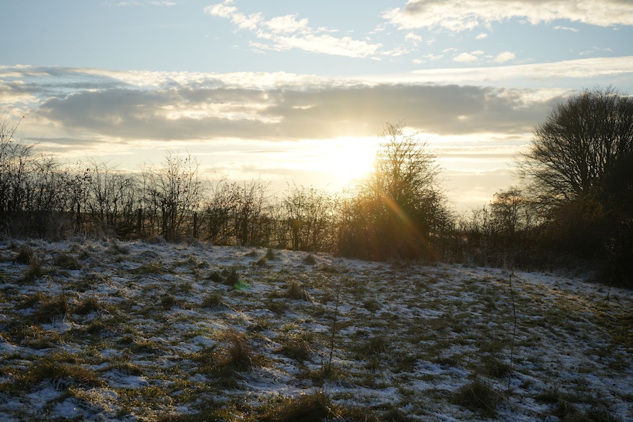 Campo nevado com o sol se pondo atrás das árvores.