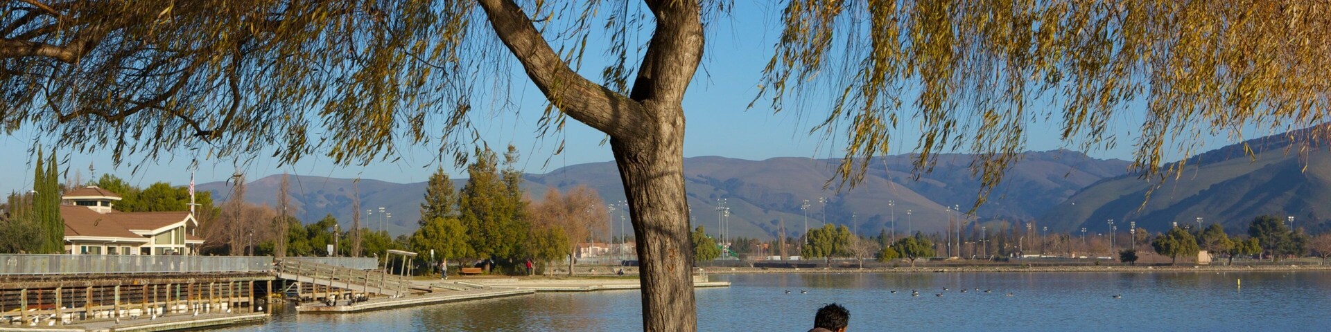 Um homem sentado num banco sob uma árvore junto a um lago, com montanhas ao fundo.