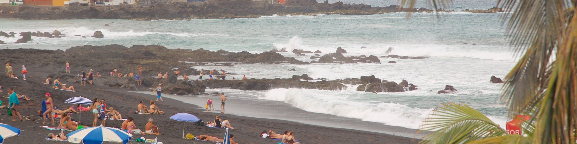 Garden Beach showing general coastal views and a coastal town as well as a large group of people