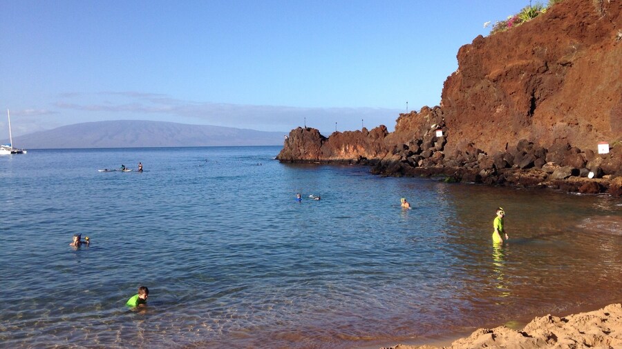 We rented snorkel gear just down the beach. Great snorkeling and you can hear the humpbacks song underwater.