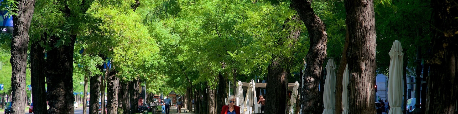 Paseo de la Castellana