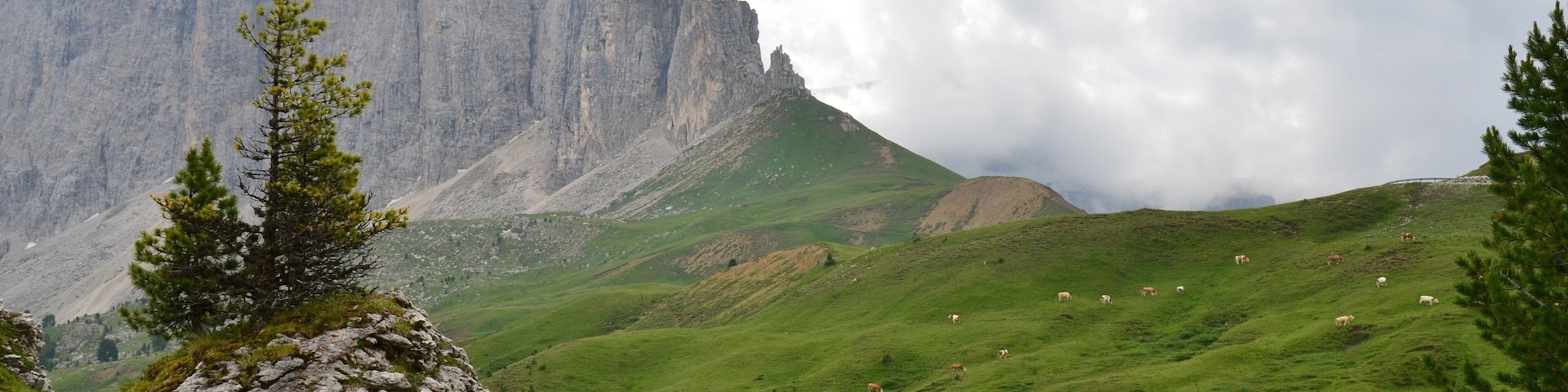 Ciampino-Sella Ski Area which includes tranquil scenes and mountains