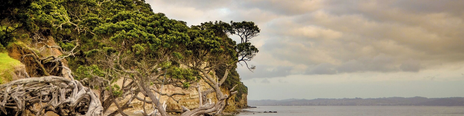 This is from a weekend trip to New Zealand in 2014.