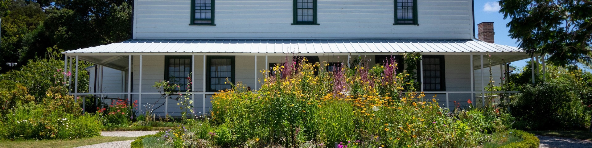 Stone Store showing wildflowers and a house