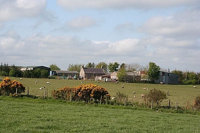 Paisagem rural com campos verdes, ovelhas espalhadas e construções agrícolas.