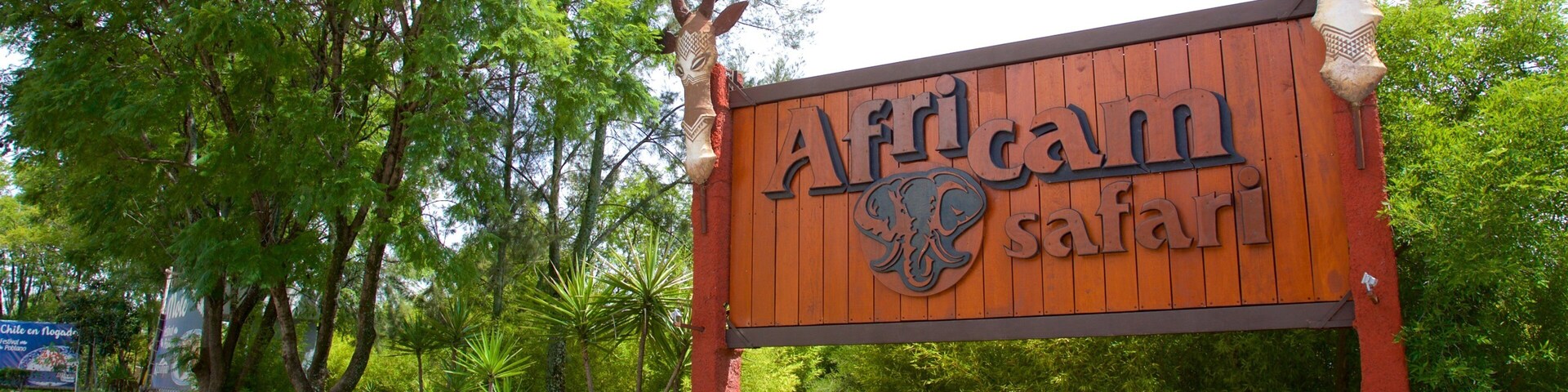 Uma placa de madeira com a inscrição 'African Safari', rodeada por vegetação exuberante e árvores.