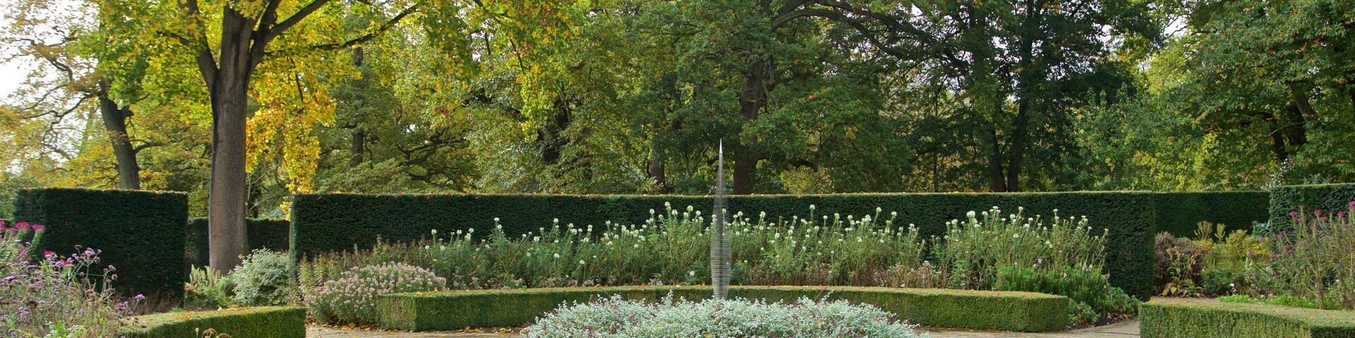 Savill Garden showing a garden