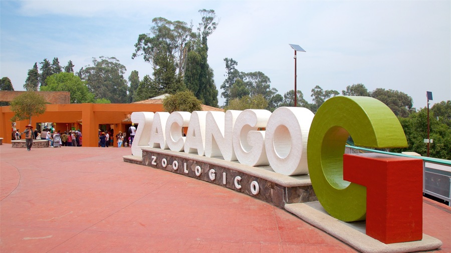 A large sign reading "ZACINGO Zoologico" with a red and green structure nearby.