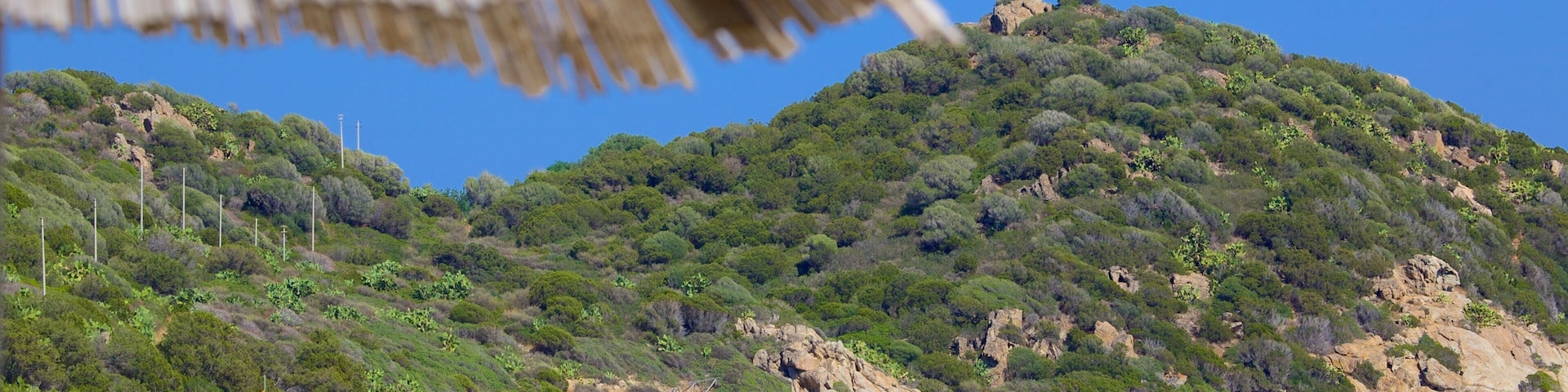 Uma praia com pessoas, barcos e guarda-sóis.