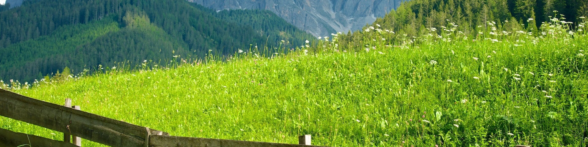 Funes featuring mountains, landscape views and tranquil scenes