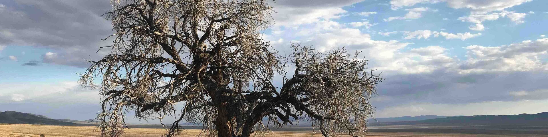 Very nice fossil site, great place to camp and try out our new e bikes. Beautiful skies, old mining camp.