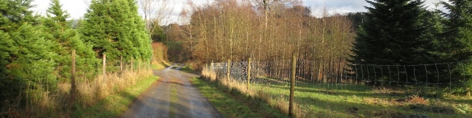 Looking down a dirt road in the village of Marialinden, Germany.
