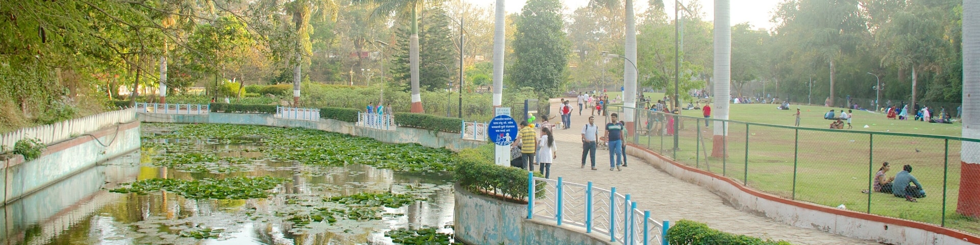 Saras Baug mostrando um jardim e um lago