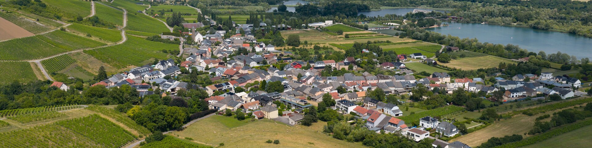 Vista aérea de uma pequena cidade rodeada por vinhedos e um lago.